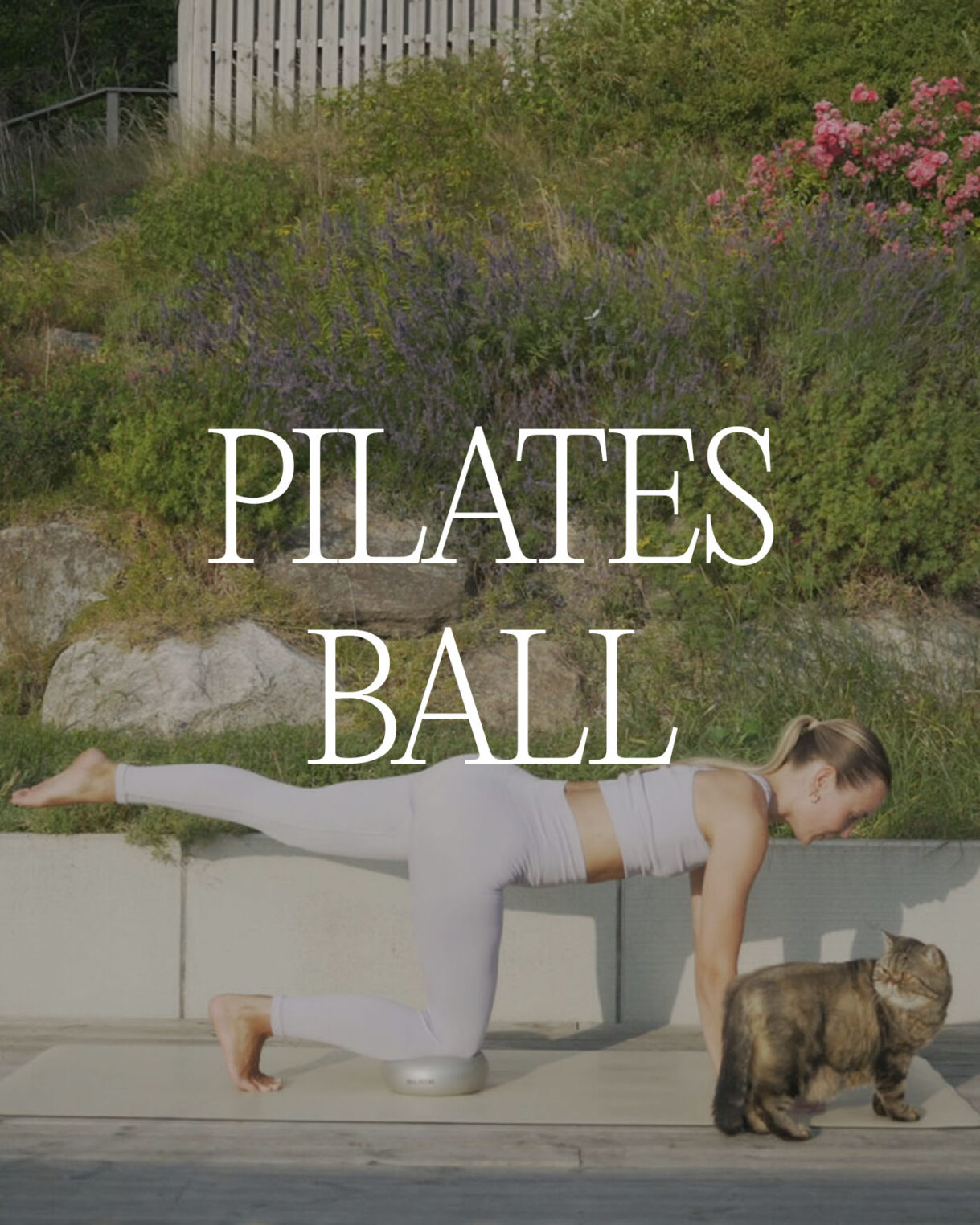 Slice Weekly – Effektiva Träningspass Anpassade för Hemmamiljö